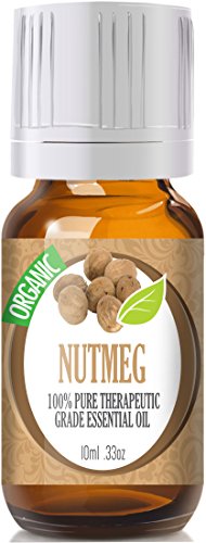 Everything You Ever Wanted To Know About Nutmeg | Foodal