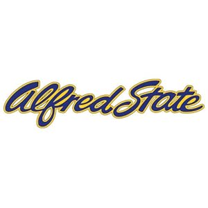 Amazon.com : Alfred State Extra Large Decal 'Official Logo' : Sports ...