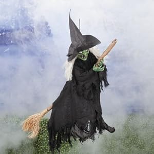 Amazon.com: FLYING WITCH halloween decoration prop: Toys & Games