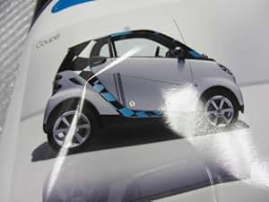 Amazon.com: OEM Smart Car Fortwo Body Graphics Art Sticker Decal Trim ...