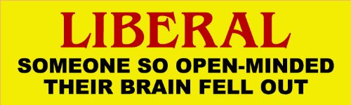 Top 5 Best anti liberal bumper sticker for sale 2016 | BOOMSbeat