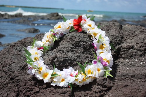 Hawaiian Lei Flowers - History Of Lei, Symbolism And Meanings Of Lei ...