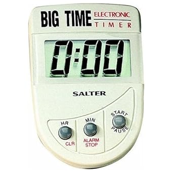 SALTER 336 Electronic Timer BIG TIME White: Amazon.co.uk: Lighting