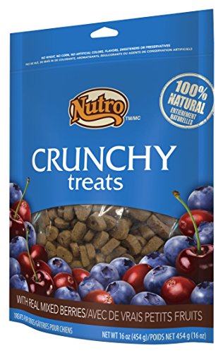NUTRO Crunchy Treats With Real Mixed Berries - 16 oz. (454 g) Animals ...