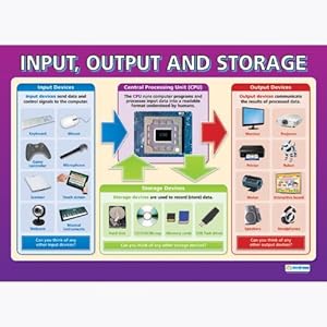 Input, Storage and Output Devices |ICT Educational Wall Chart/Poster in ...