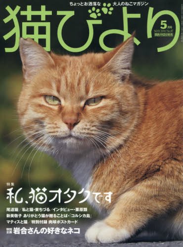 Japan cool culture and products information. - DOMO ARIGATO JAPAN