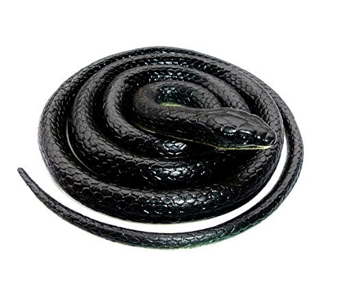 Top 5 Best rubber snake for sale 2016 | BOOMSbeat