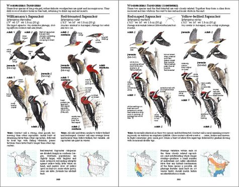 the sibley guide to birds | Bird watching books's Blog
