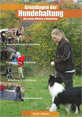 Grundlagen der Hundehaltung mit vielen Bildern & Beispielen ...