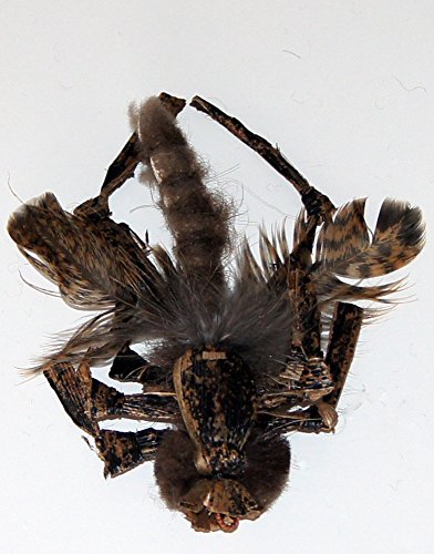 The Bird Catcher (2016) watch full movie in english 720 quality - coolwup