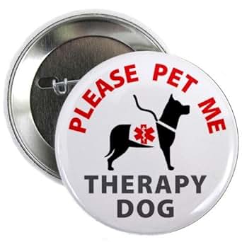 Amazon.com: PLEASE PET ME THERAPY DOG Alert 2.25 Pinback Button Badge ...