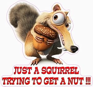 Amazon.com: Just a Squirrel Trying to Get a Nut Decal is 5.5" x 5" in ...