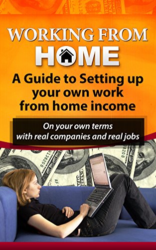 Working From Home: A Guide to Setting up your own work from home income ...
