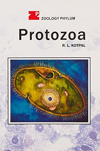Protozoa Classification - IASZoology.com
