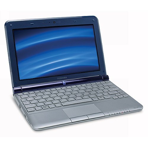 Toshiba 10.1 LCD, Atom, 1GB RAM, 250GB HDD Netbook Bundle with 3-Year ...