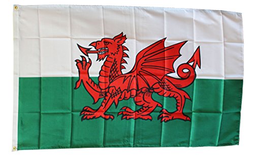 Wales - 3' x 5' Dura-PolyTM Polyester World Flag by Flagline - Want It All