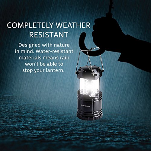 Divine LEDs Bright 2 Pack Portable Outdoor LED Camping Lantern, Black ...