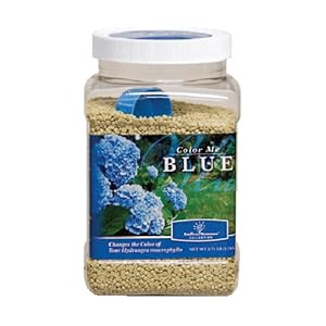 Amazon.com : Bonide 56428 Blue Fertilizer, 2.75-Pound : Hydrangea Food ...