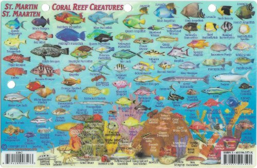 St. Maarten & St. Martin Dive Map & Reef Creatures Guide - Want It All