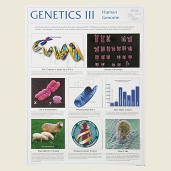 Amazon.com: Genetics III Poster: Industrial & Scientific