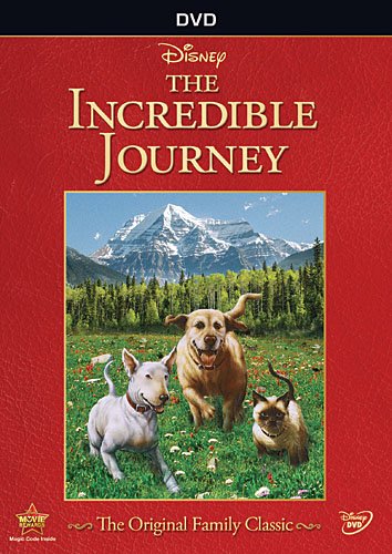 Foro Hablemos de Disney - [Live-action / Disney] El Viaje Increíble ...