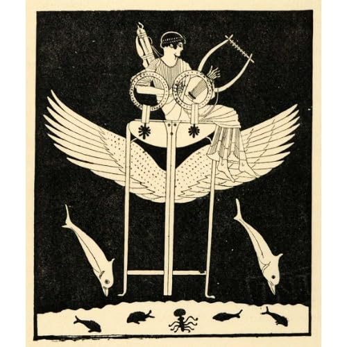 Basic Information - Apollo