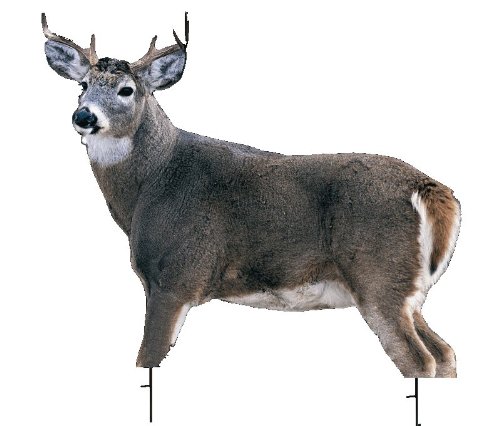Montana Decoy Whitetail Buck Decoy Sporting Goods Outdoor Recreation ...
