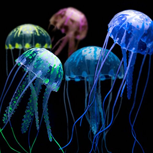 Top 5 Best desktop jellyfish aquarium with live jellyfish for sale 2016 ...