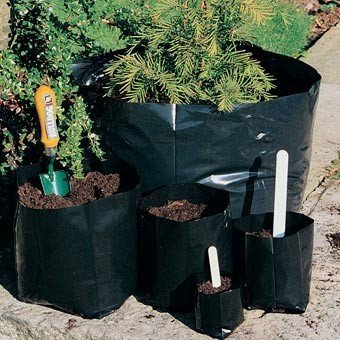 Buy Nutley's 20 x 1-Litre Polypots Online at desertcartINDIA