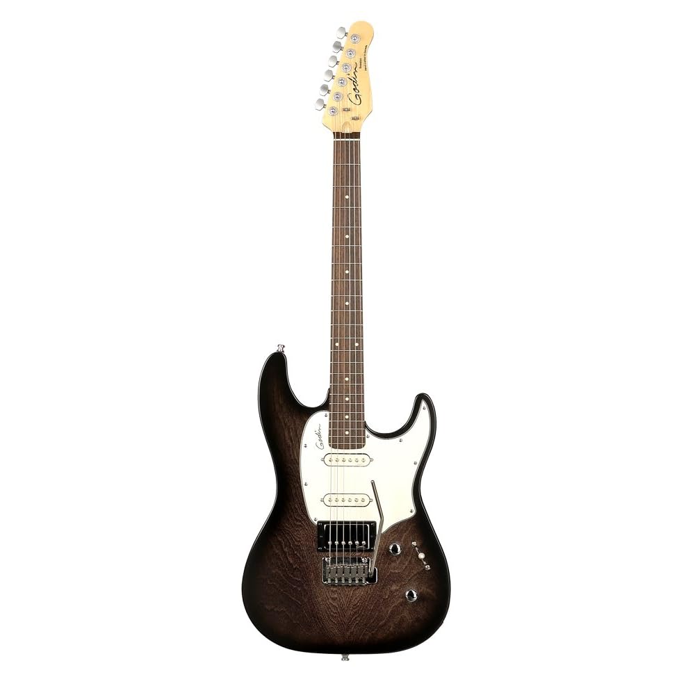 Godin Session or Fender American Strat HSS? - The Acoustic Guitar Forum