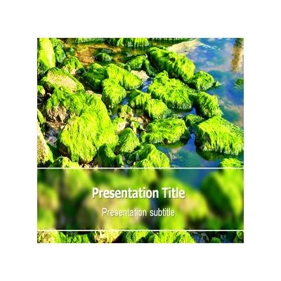 Amazon.com: Algae Powerpoint Templates - Powerpoint (PPT) Template on Algae