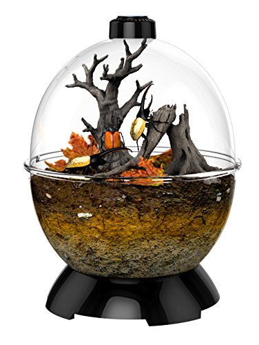 Top 5 Best shrimp ecosphere for sale 2016 | BOOMSbeat