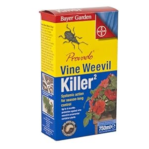 Amazon.com - Provado Vine Weevil Killer