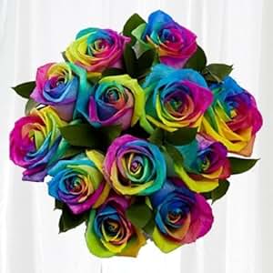 Amazon.com : Fiesta Roses Long Stem Rainbow Roses - 12 Stems no Vase ...
