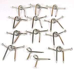Amazon.com: Twisted Nail Puzzle _ Bundle of 12 Identical Puzzles: Toys ...