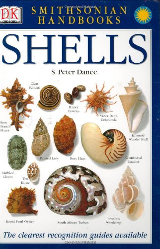 Collecting Seashells: Types of Shells