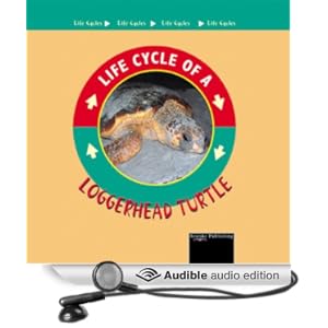 Loggerhead Turtle (Life Cycles) - Obduliadij's blog