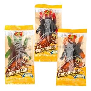 Amazon.com : Giant Gummy Cockroach Candy 24 Count : Grocery & Gourmet Food