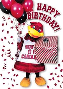 Amazon.com : South Carolina Gamecocks Birthday Greeting Cards (Set of 3 ...