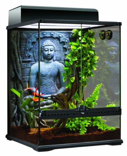 Exo Terra Sri Lanka Rainforest Terrarium Kit - Morelia Viridis