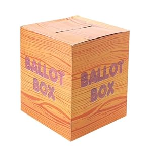 Amazon.com: Cardboard Ballot Box: Toys & Games