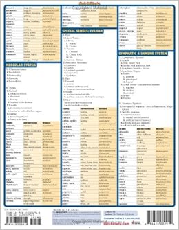 Medical Terminology: The Body (Quickstudy: Academic): Inc. BarCharts ...