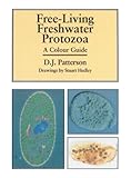 Protozoa Classification - IASZoology.com