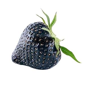 Amazon.com : 50 Seeds Black Strawberry Seeds : Fruit Plants : Patio ...