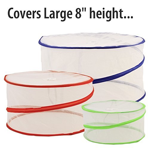 Mesh Food Cover Set & Inflatable Picnic Buffet Server - Tabletop Cooler ...