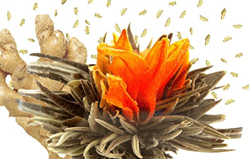 Tea Beyond Tea Samplers Assorted Flowering Tea 12 packs Detox - Want It All