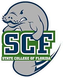 Amazon.com : STATE COLLEGE OF FLORIDA Decal - SCF Manatee Decal - 12" x ...