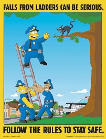 Amazon.com: Simpsons Ladder Safety Poster - Follow The Rules To Stay ...