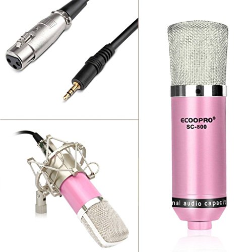Top 5 Best microphone pink for sale 2016 | BOOMSbeat