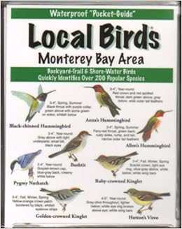 Local Birds of the Monterey Bay Area: Inc. Local Birds: 9781886403116 ...